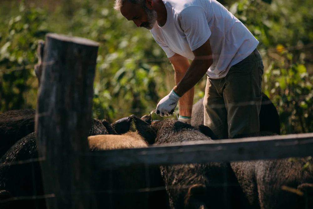 Origin Dining, Table on the Farm — Burning Barrel