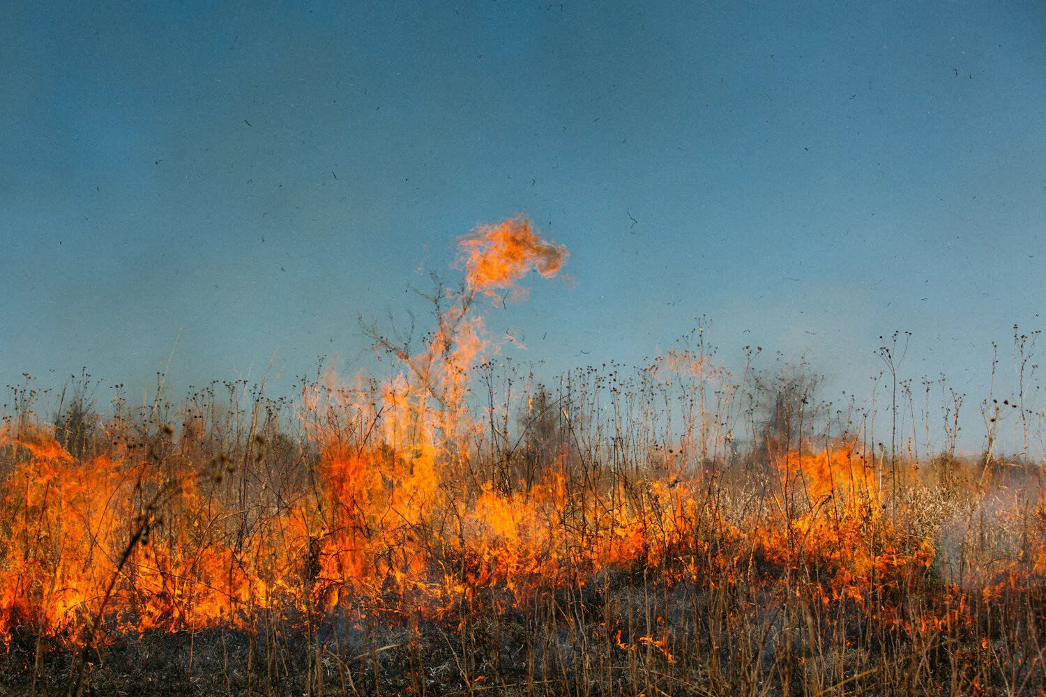 Burning Barrel