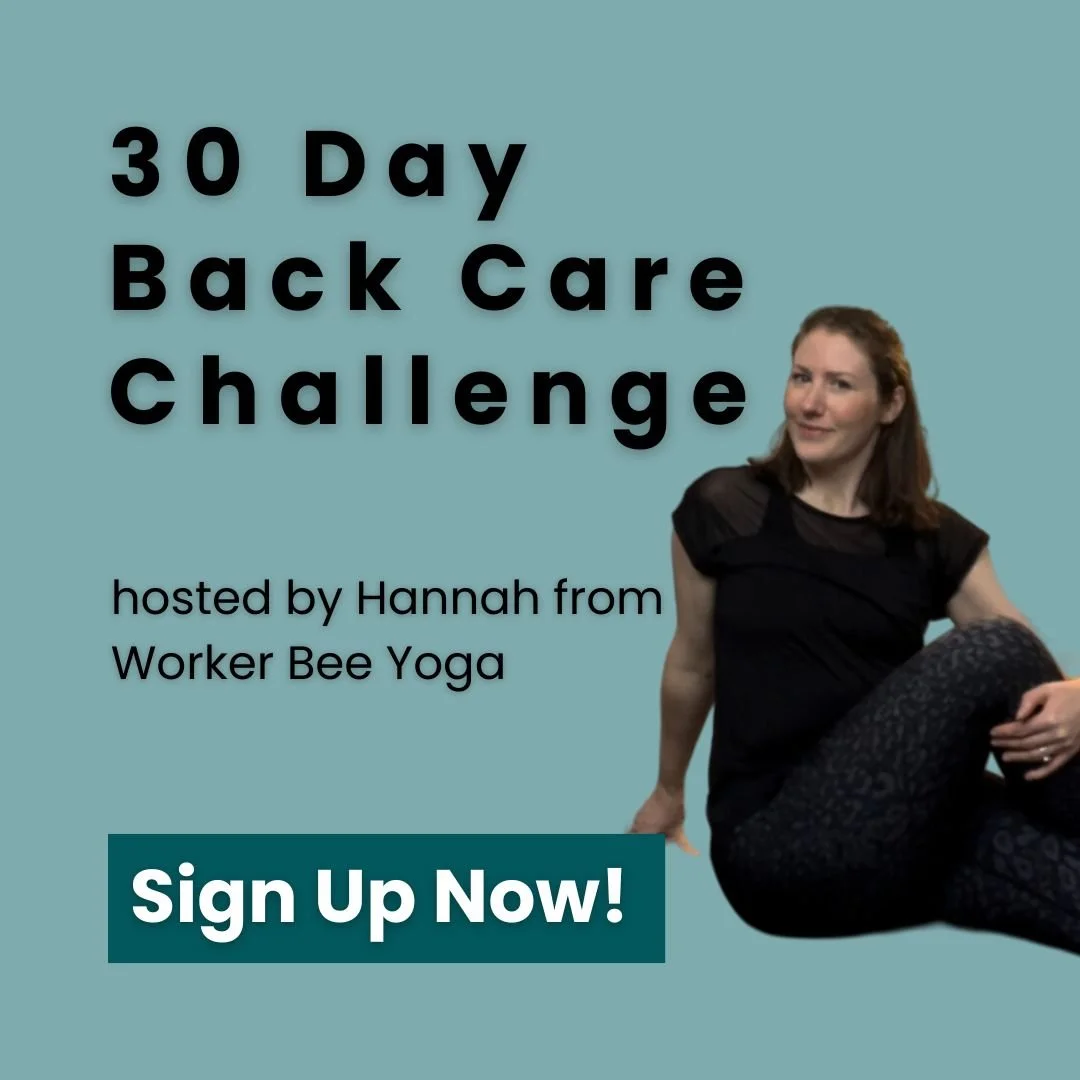 Back Care Challenge — Worker Bee Yoga