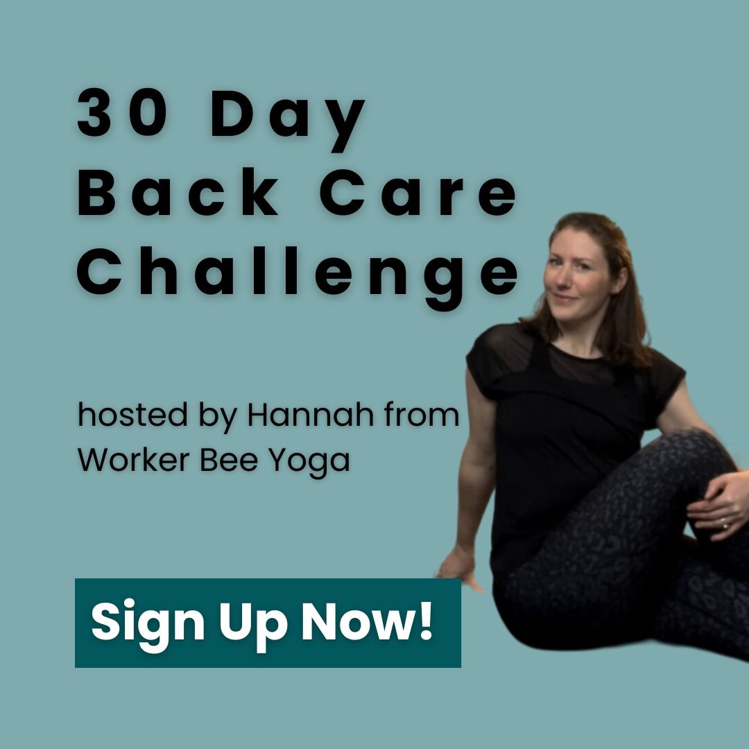 Back Care Challenge Enhance Your Back Health Start Today Worker