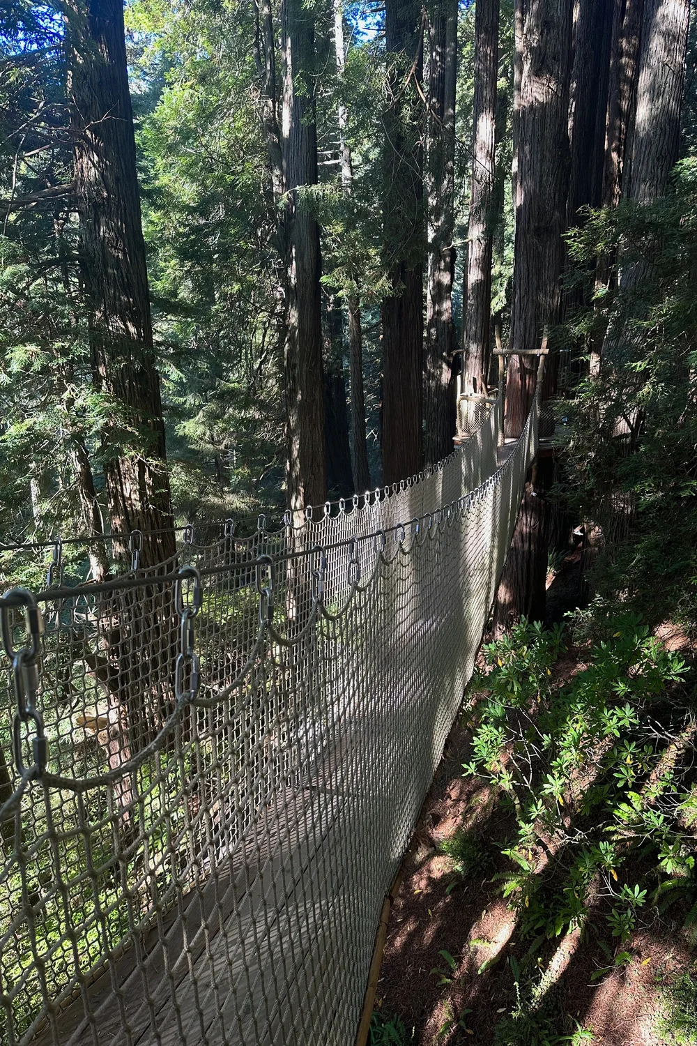 Trees of Mystery in the Redwoods Empire of Northern California — The ...