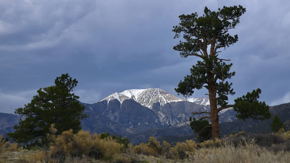 Medano Pass Primitive Road in Great Sand Dunes National Park & Preserve ...