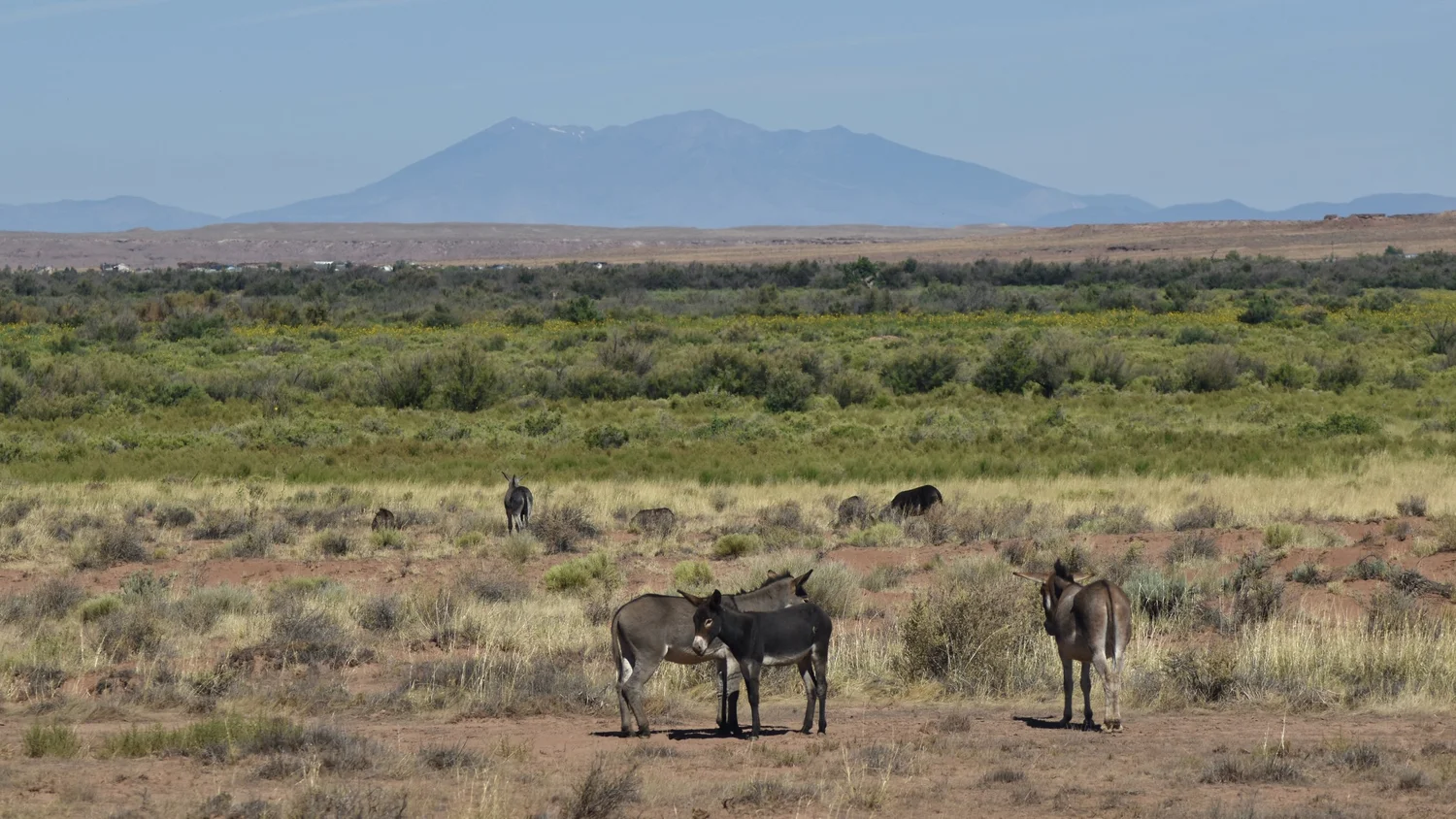 Homolovi State Park in Arizona in the American Southwest — The American ...