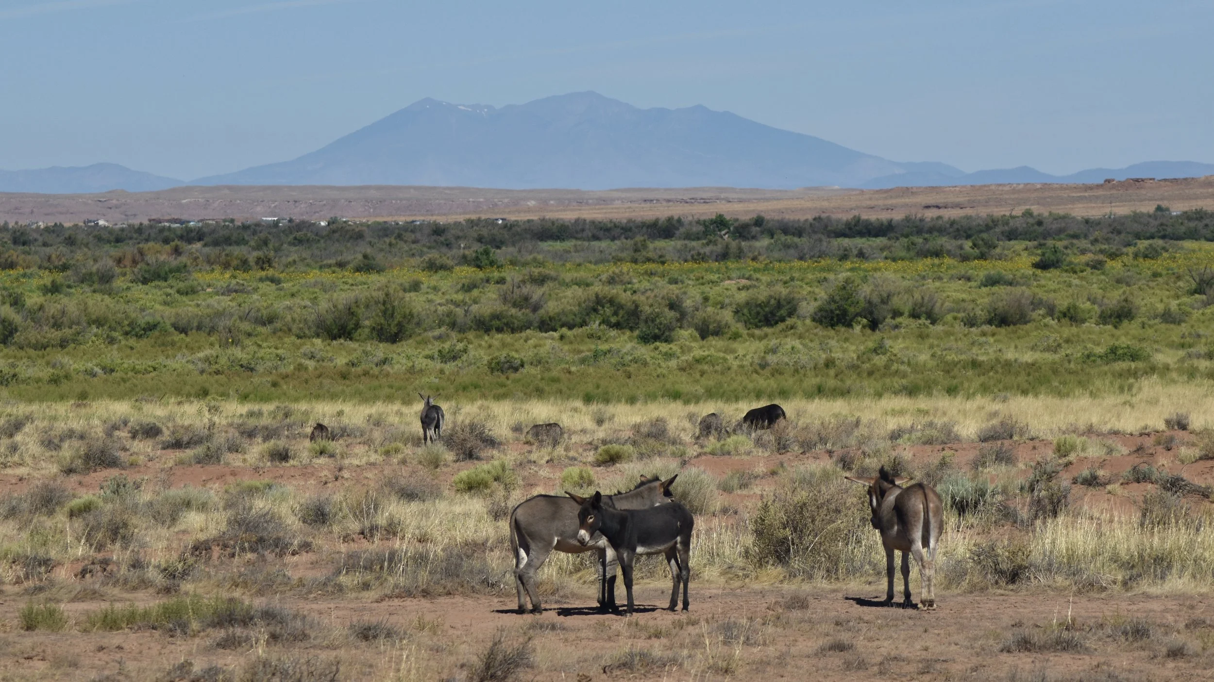 Homolovi State Park in Arizona in the American Southwest — The American ...