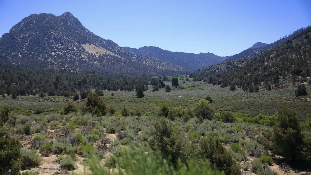 Chimney Peak & Owens Peak Wildernesses in the Sierra Nevada Mountains ...