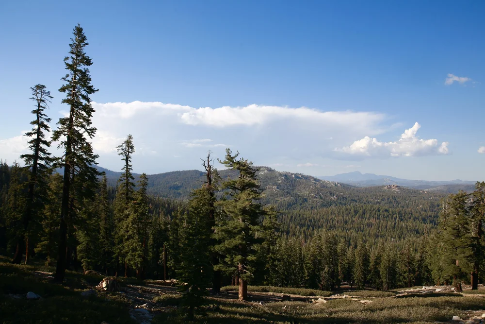 Sherman Pass Road in the Southern Sierra Nevadas of California — The ...