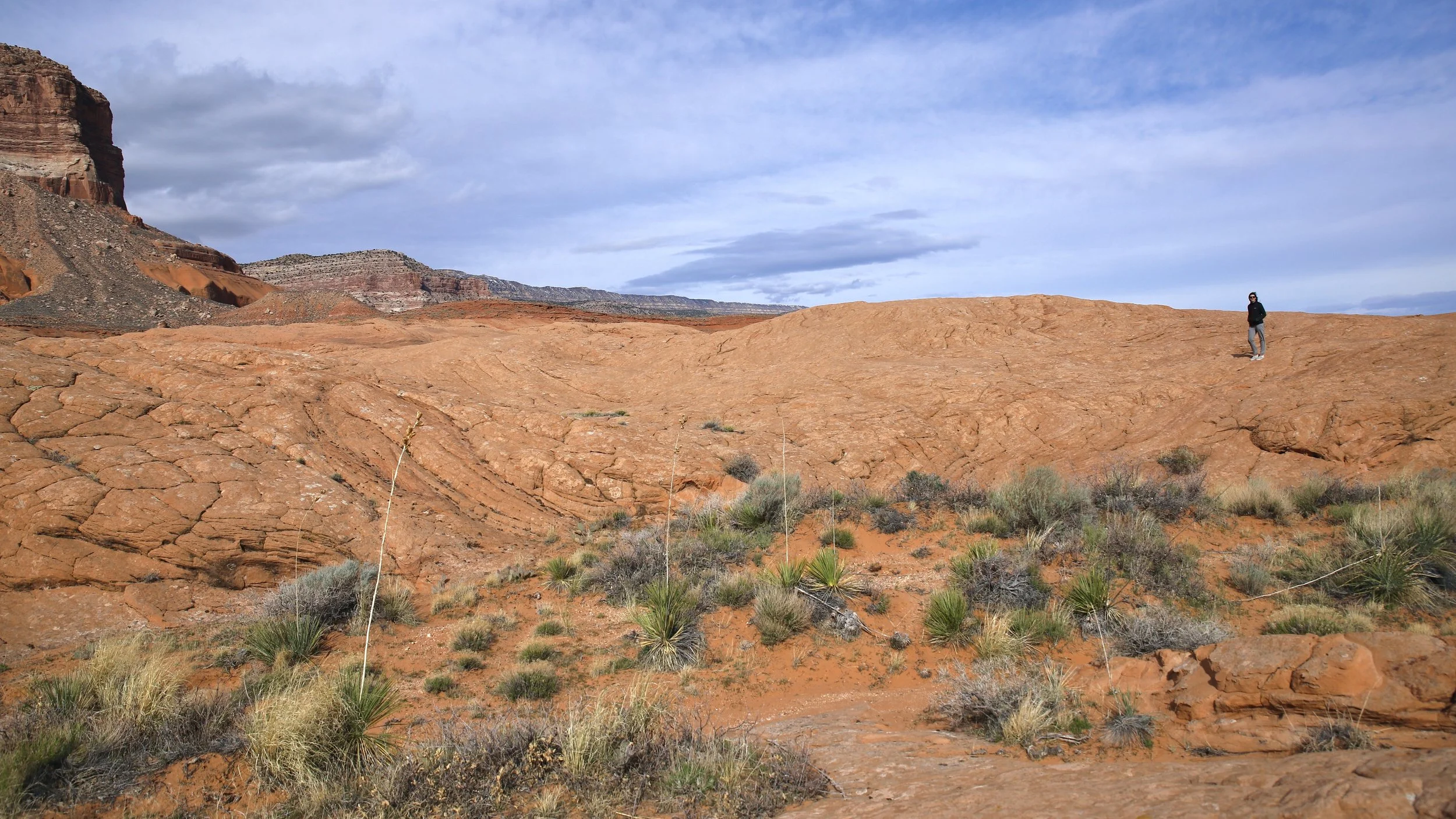 Davis Gulch off Hole-in-the-Rock Road in Glen Canyon National ...