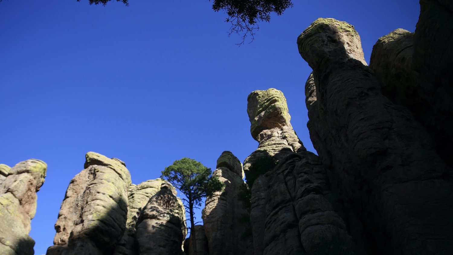 Echo Canyon Trail in Chiricahua National Monument in Arizona in the ...