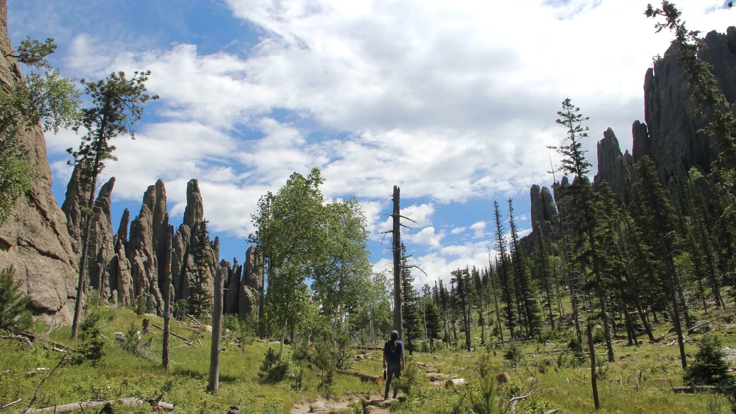 Cathedral Spires Hike in Custer State Park in the Black Hills of South ...