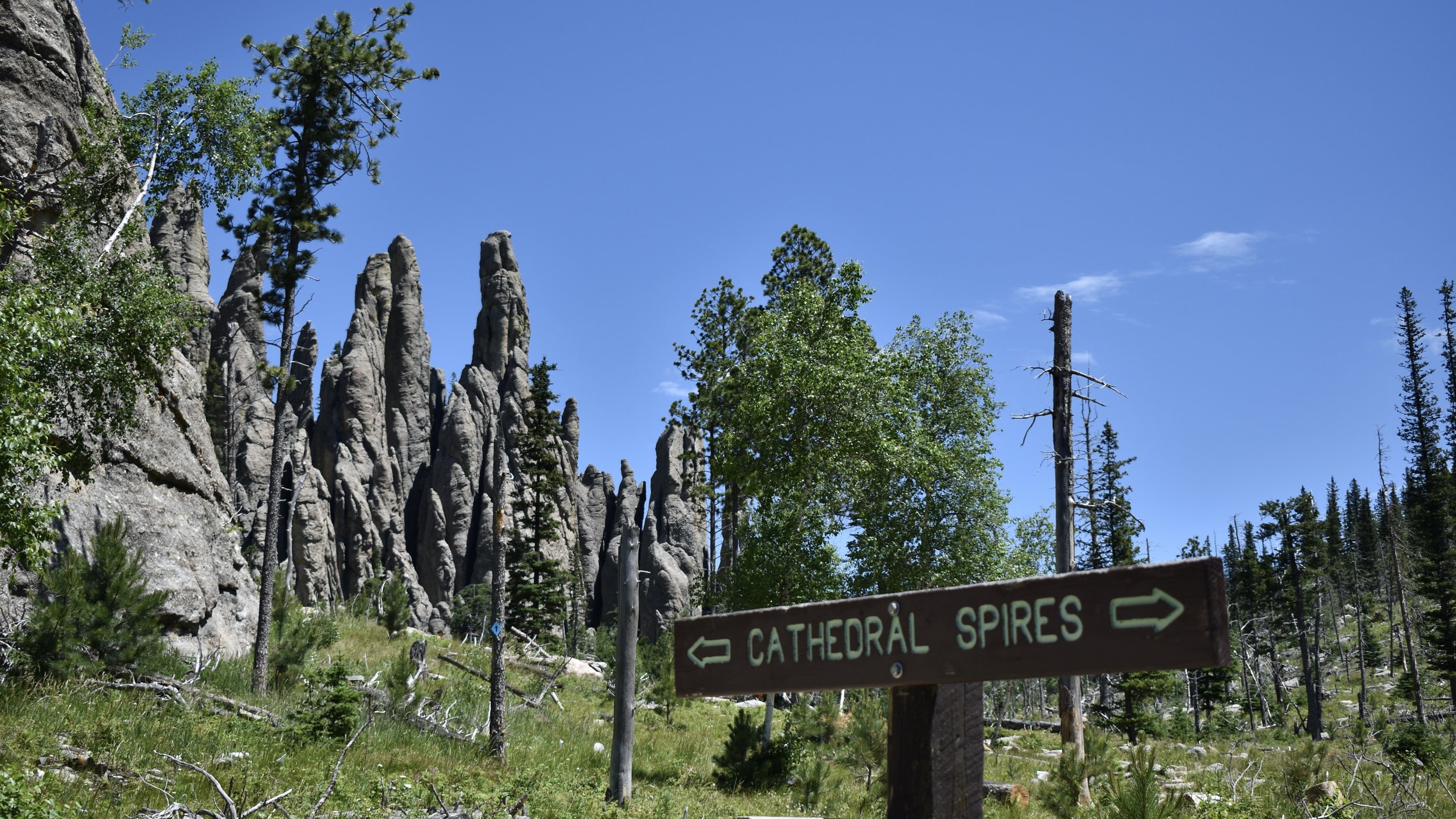 Cathedral Spires Hike in Custer State Park in the Black Hills of South ...