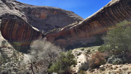 Monarch Cave Ruins in Bears Ears National Monument in The American ...