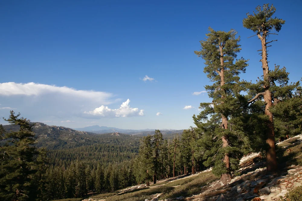 Sherman Pass Road in the Southern Sierra Nevadas of California — The ...