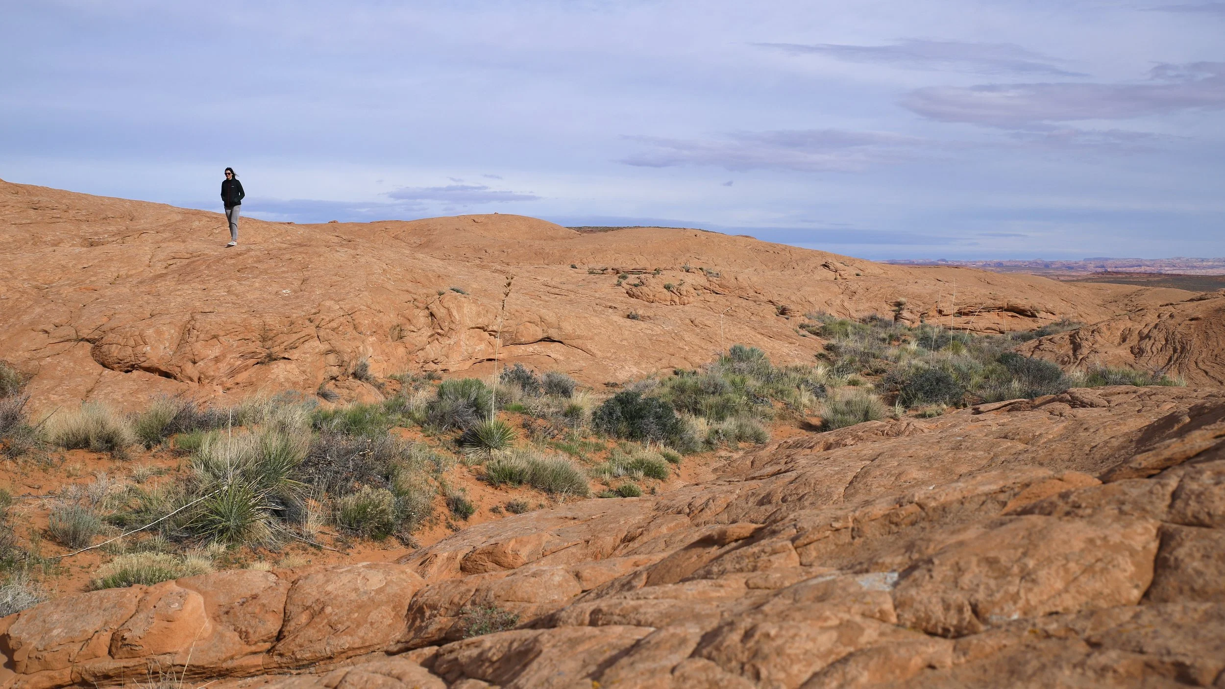 Davis Gulch off Hole-in-the-Rock Road in Glen Canyon National ...