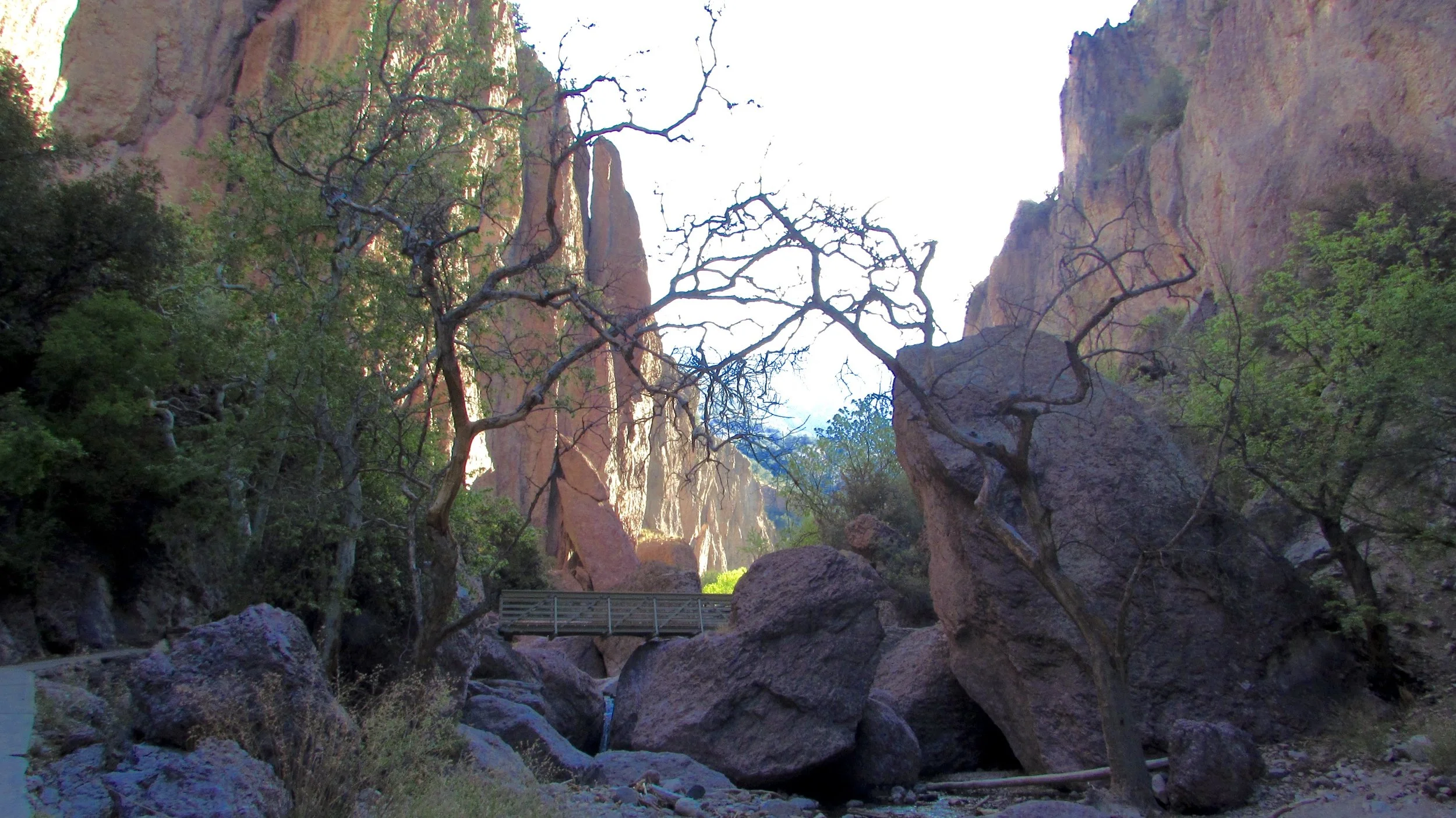 Catwalk National Recreation Area — The American Southwest