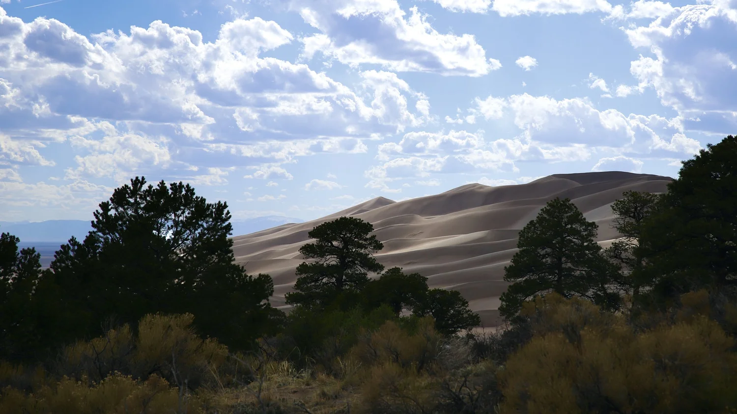 Medano Pass Primitive Road in Great Sand Dunes National Park & Preserve ...