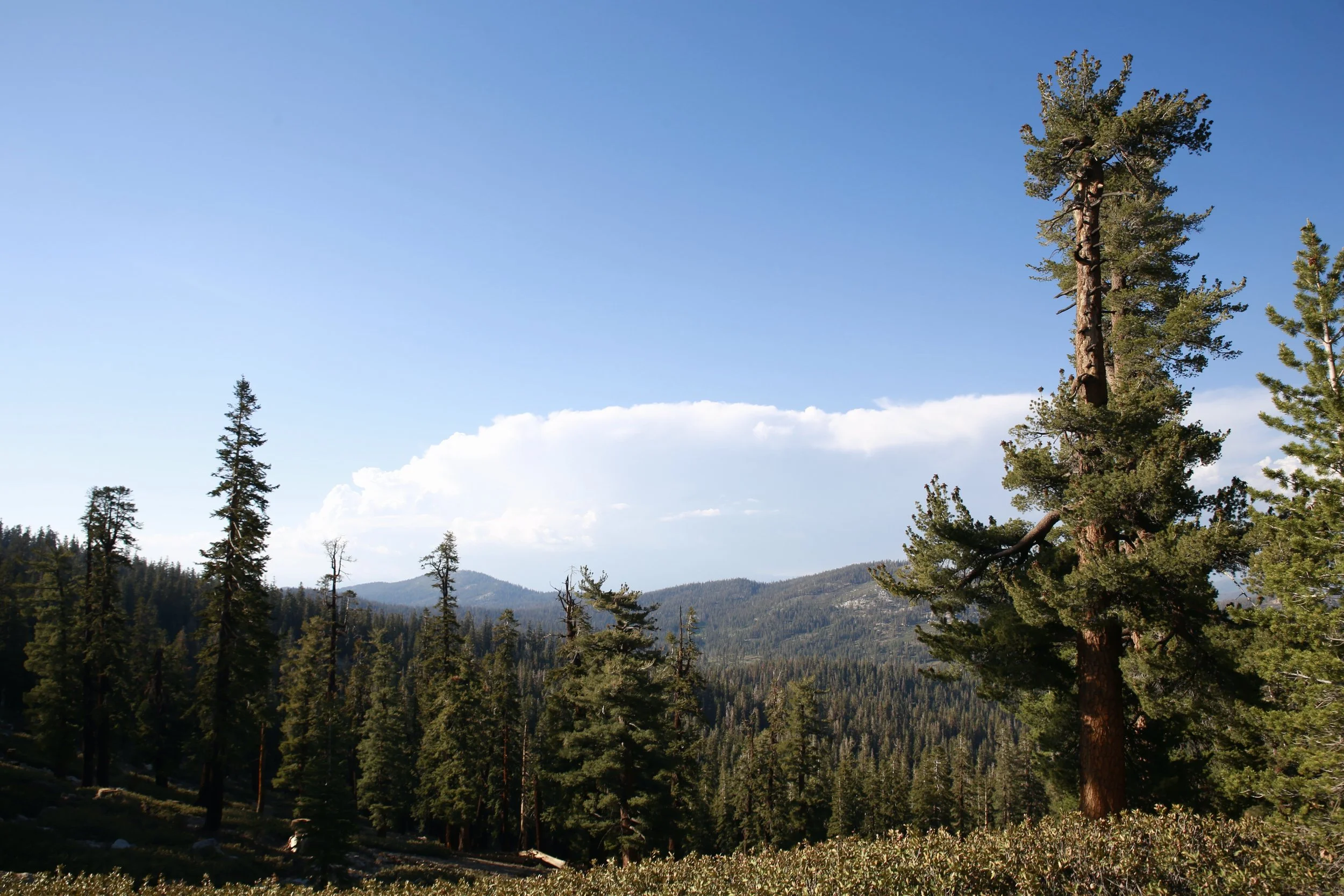 Sherman Pass Road in the Southern Sierra Nevadas of California — The ...