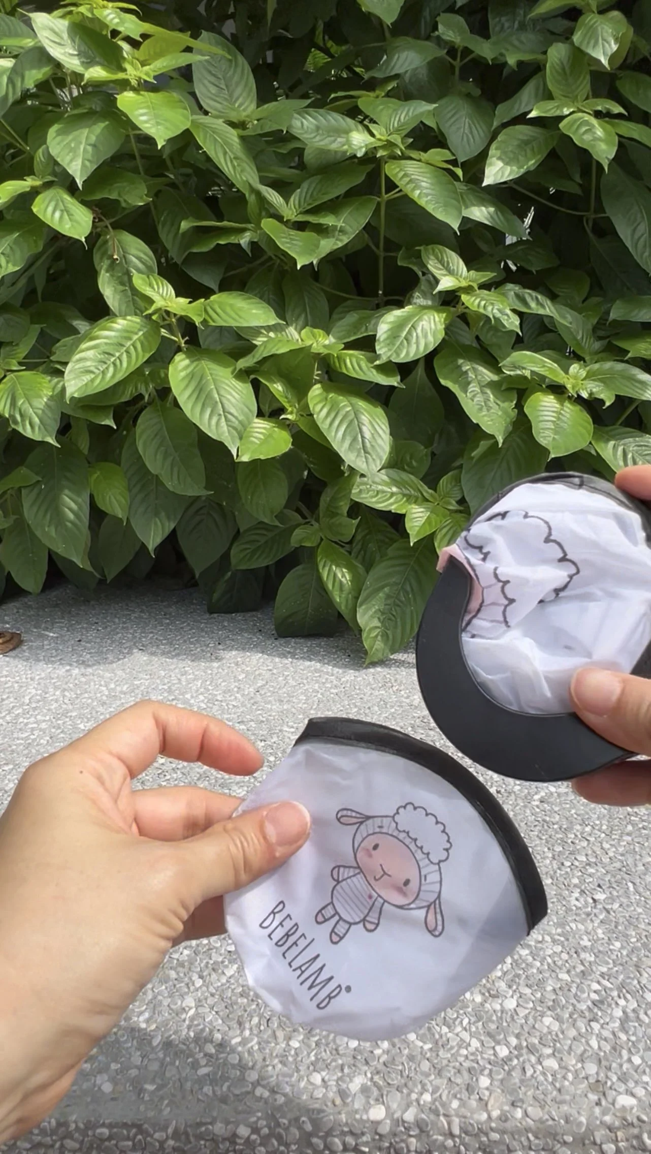 Bebelamb "Logo" Folding Fan — BEBELAMB®