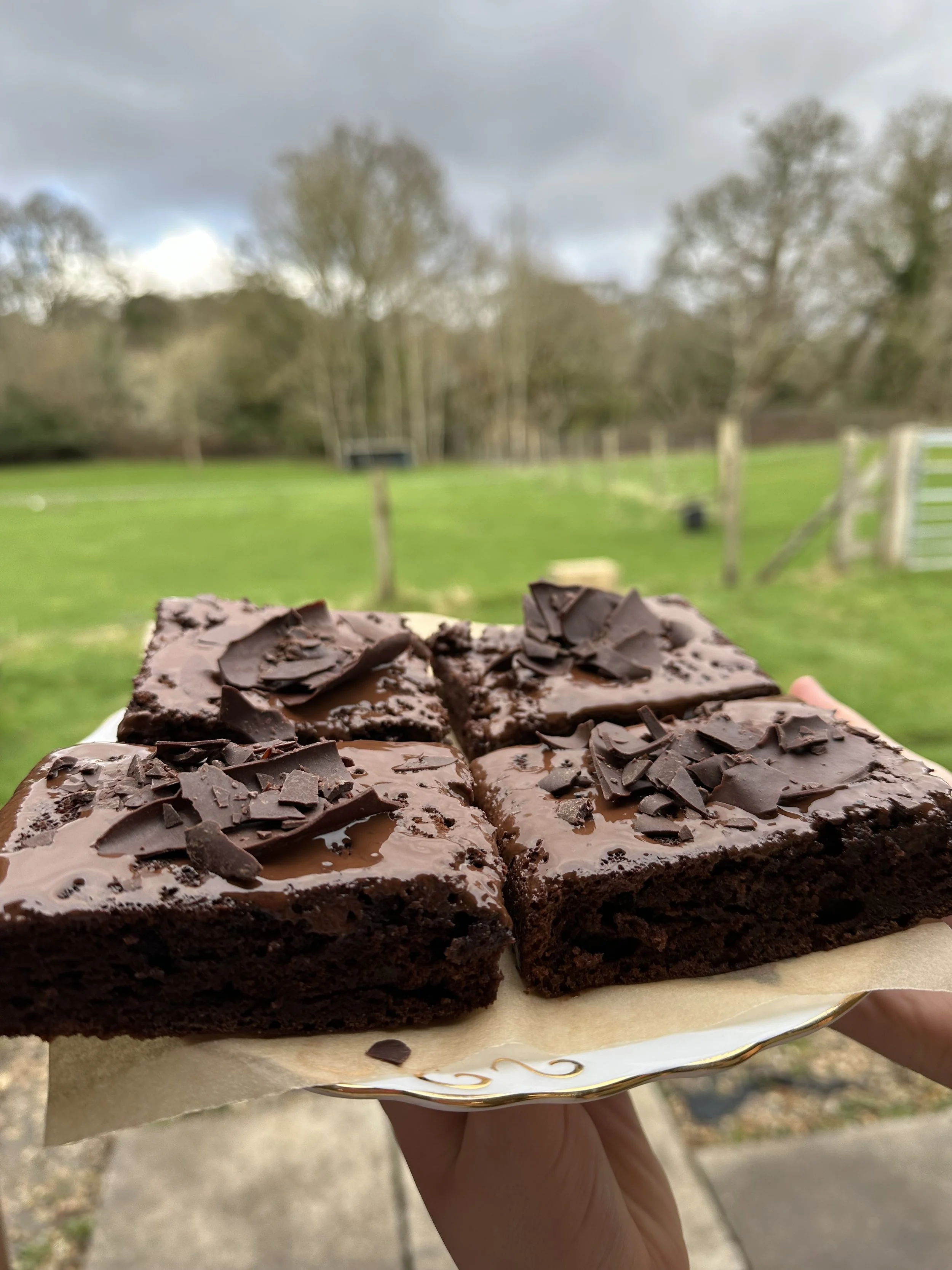 The Daisy Tea Garden