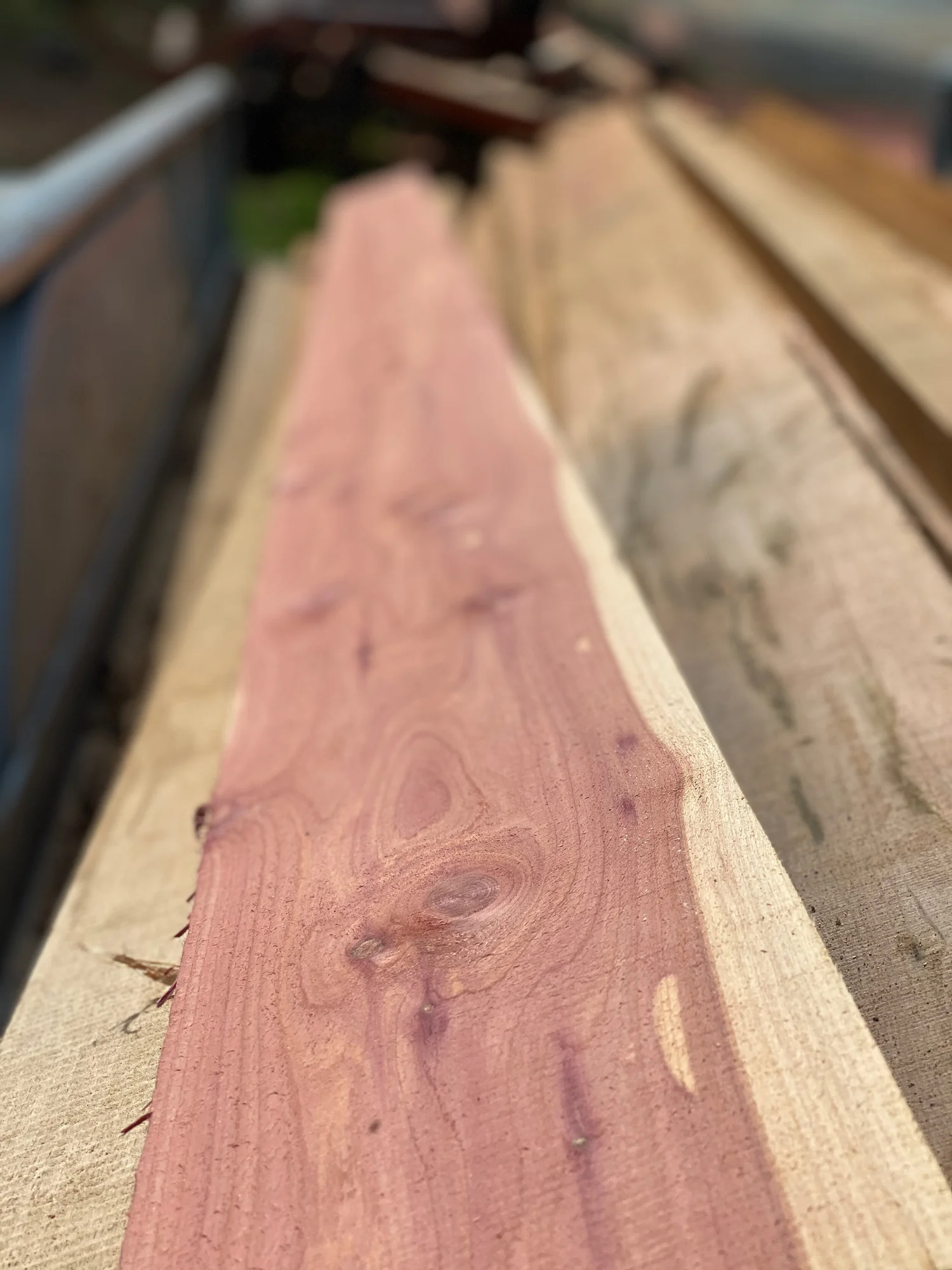 Sturdy Bones Woodworking