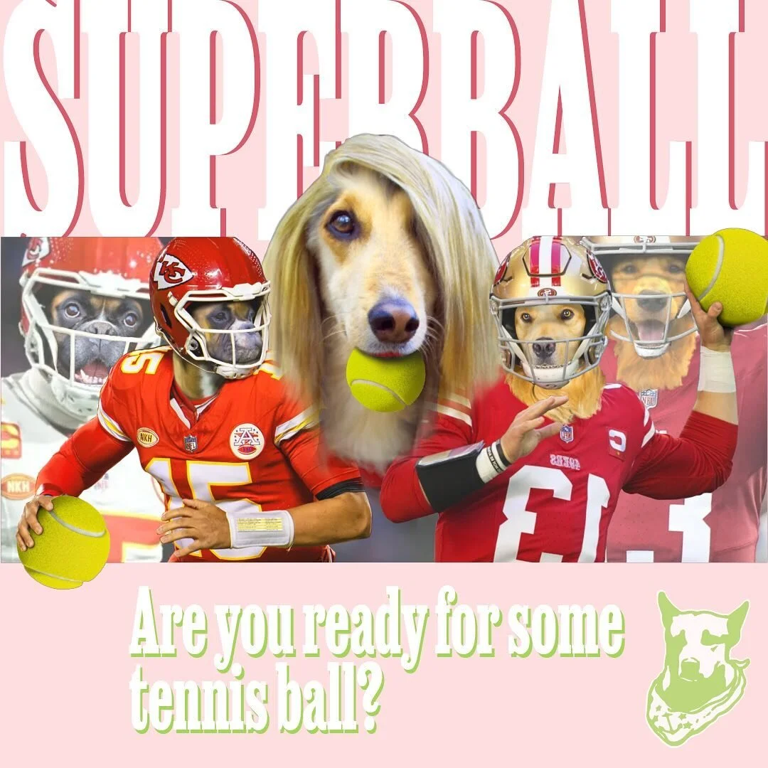 Original Rhode Dog Company - All Natural, Homemade Dog Treats