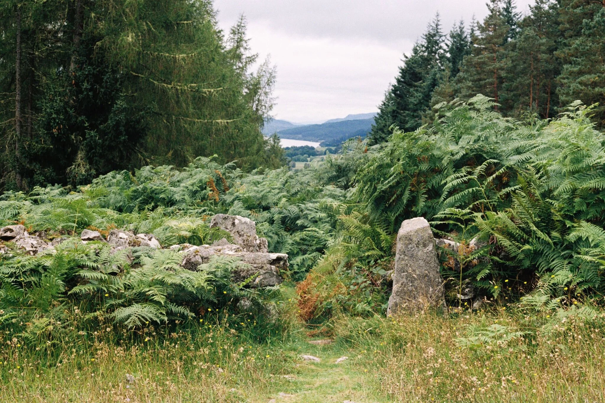 The Drystone Company - Dry Stone Waller in Perthshire, working ...