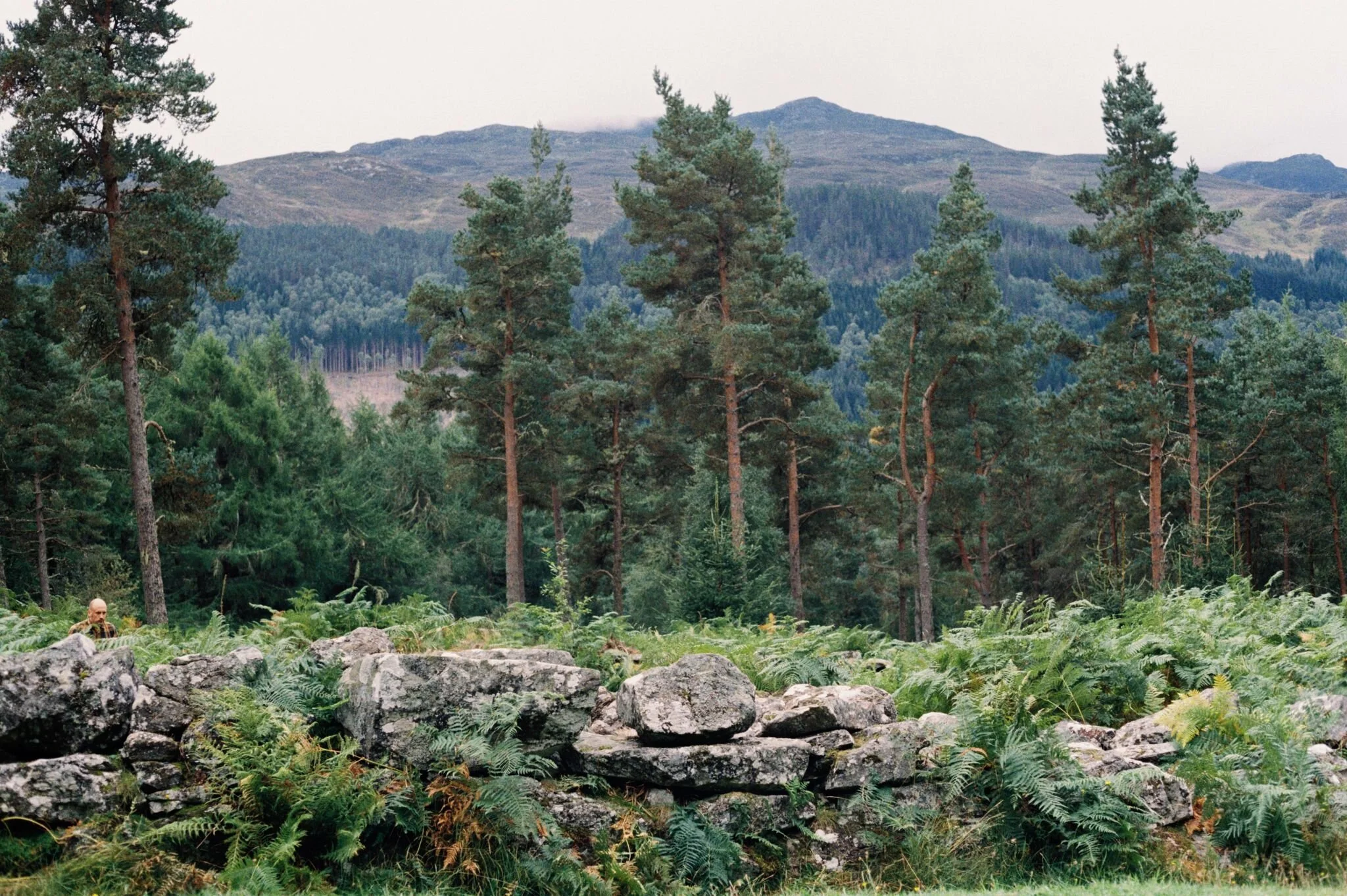 The Drystone Company - Dry Stone Waller in Perthshire, working ...