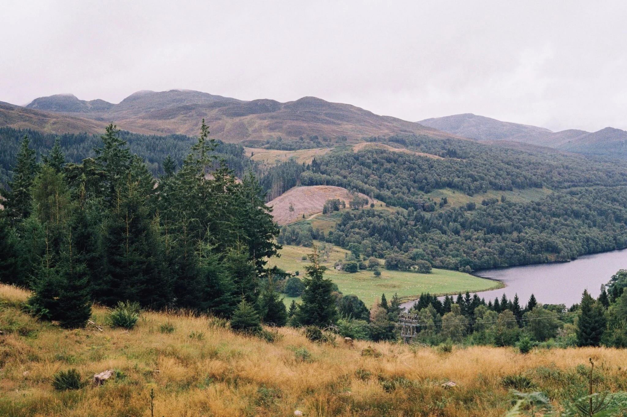 The Drystone Company - Dry Stone Waller in Perthshire, working ...