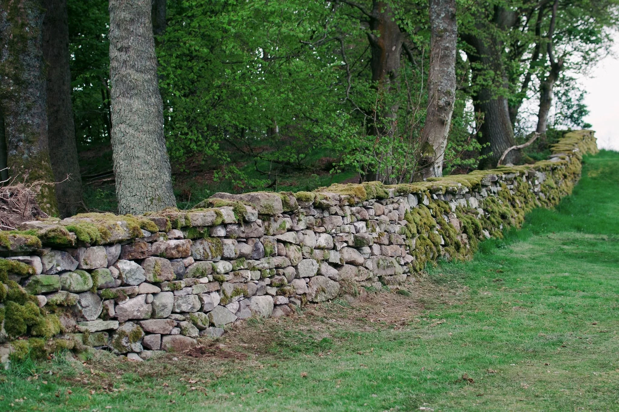 Dry Stone Wallers in Perthshire, Scotland. Drystone walls, drystone ...