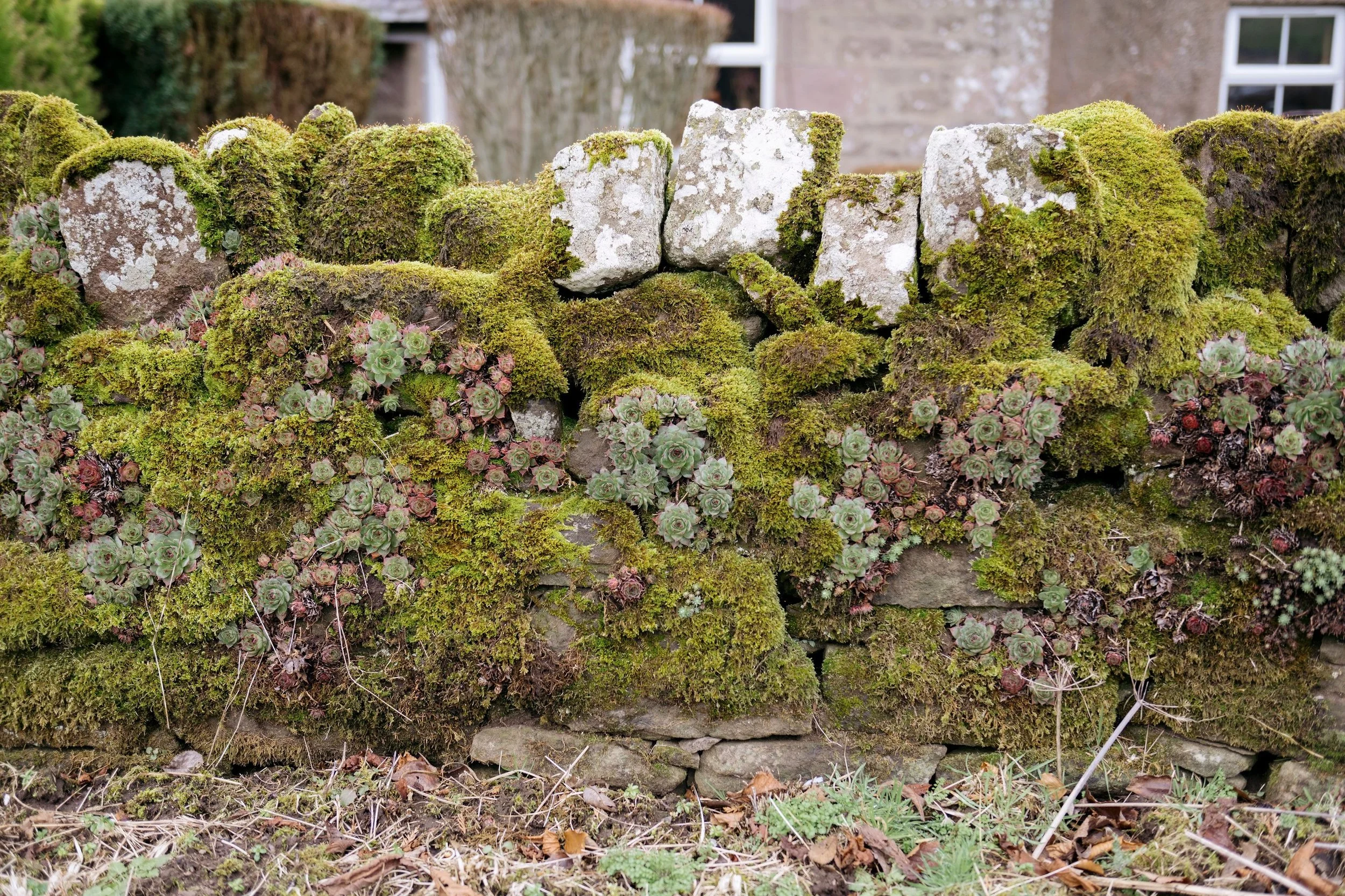 The Drystone Company - Dry Stone Waller in Perthshire, working ...