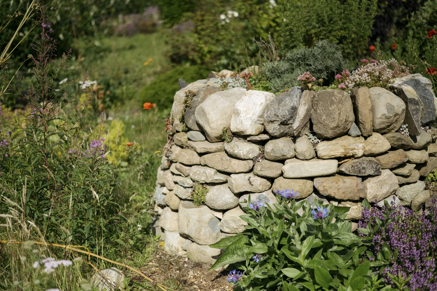 Dry Stone Wallers in Perthshire, Scotland. Drystone walls, drystone ...