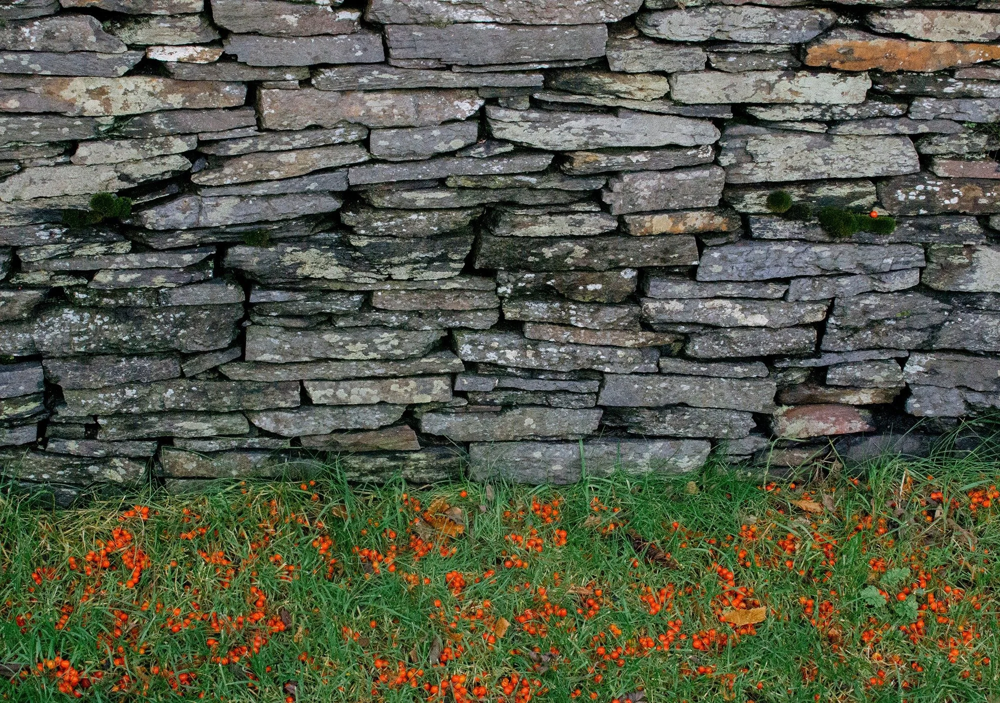The Drystone Company - Dry Stone Waller in Perthshire, working ...