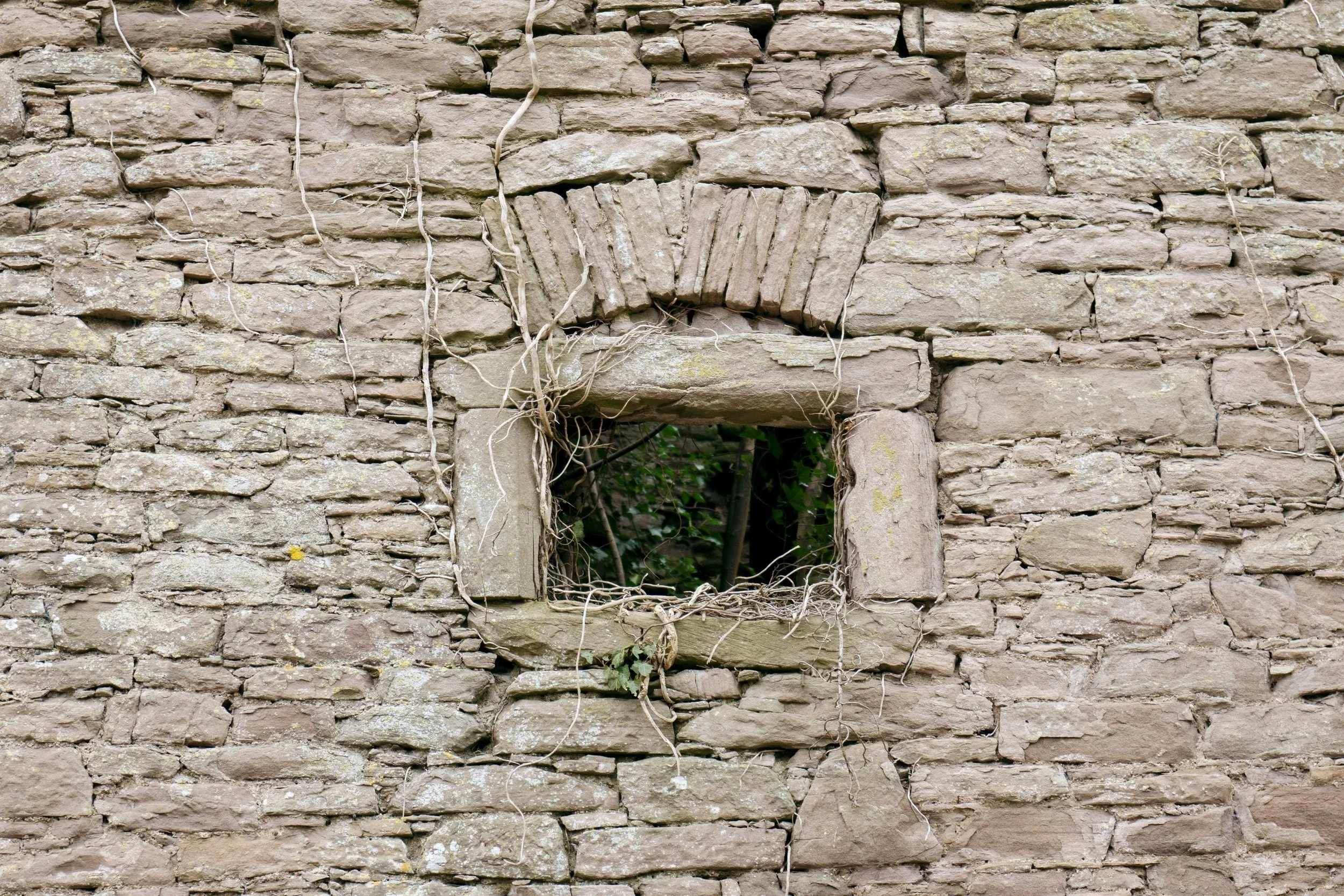 The Drystone Company - Dry Stone Waller in Perthshire, working ...