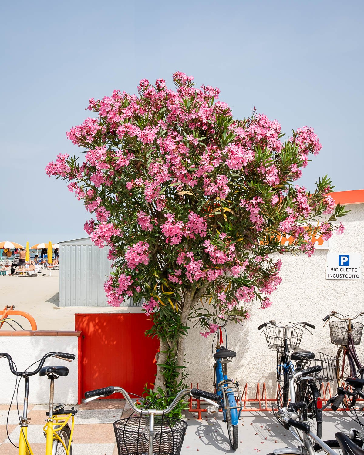 Christian Piffer | Fotografo a Trento | Servizi Fotografici