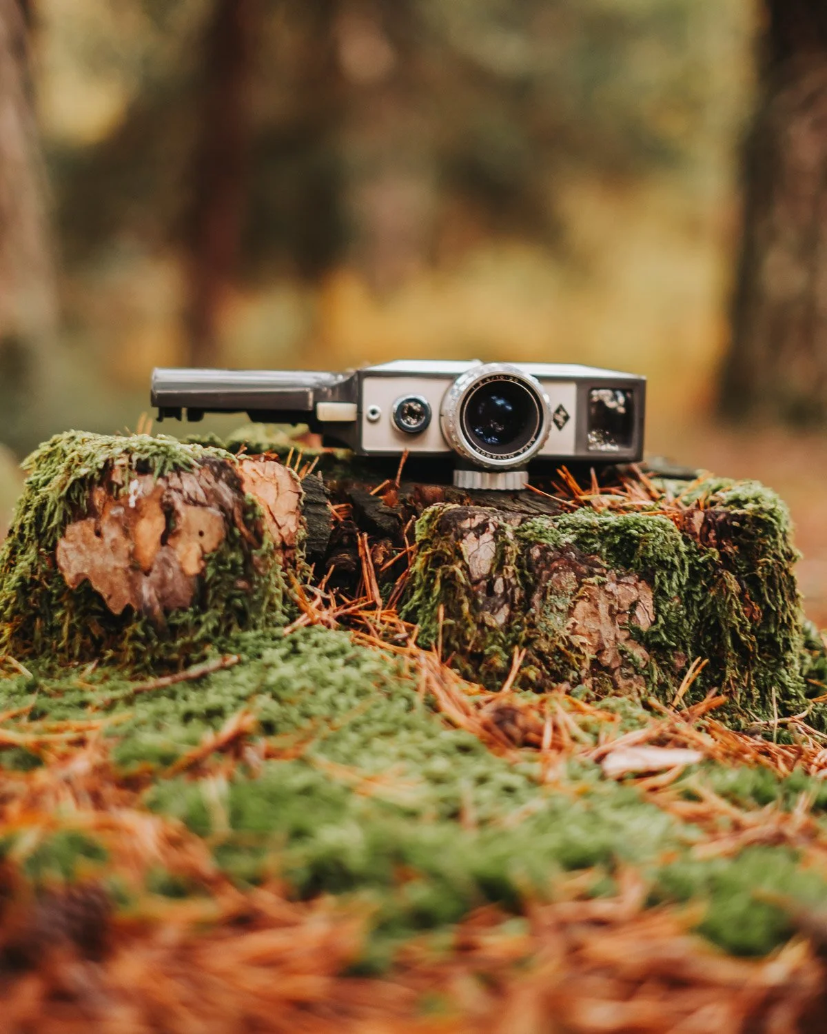 Christian Piffer | Fotografo a Trento | Servizi Fotografici