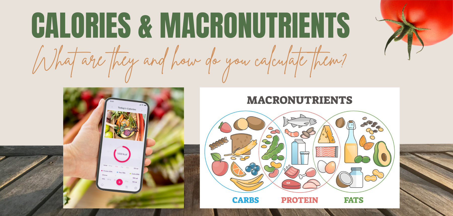 How to Figure Out Your Calorie and Macronutrient Needs — Cate Sanders ...