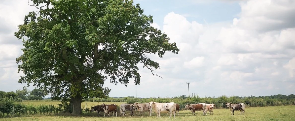 Duke of Edinburgh Gold Residential — Kenton Hall Estate