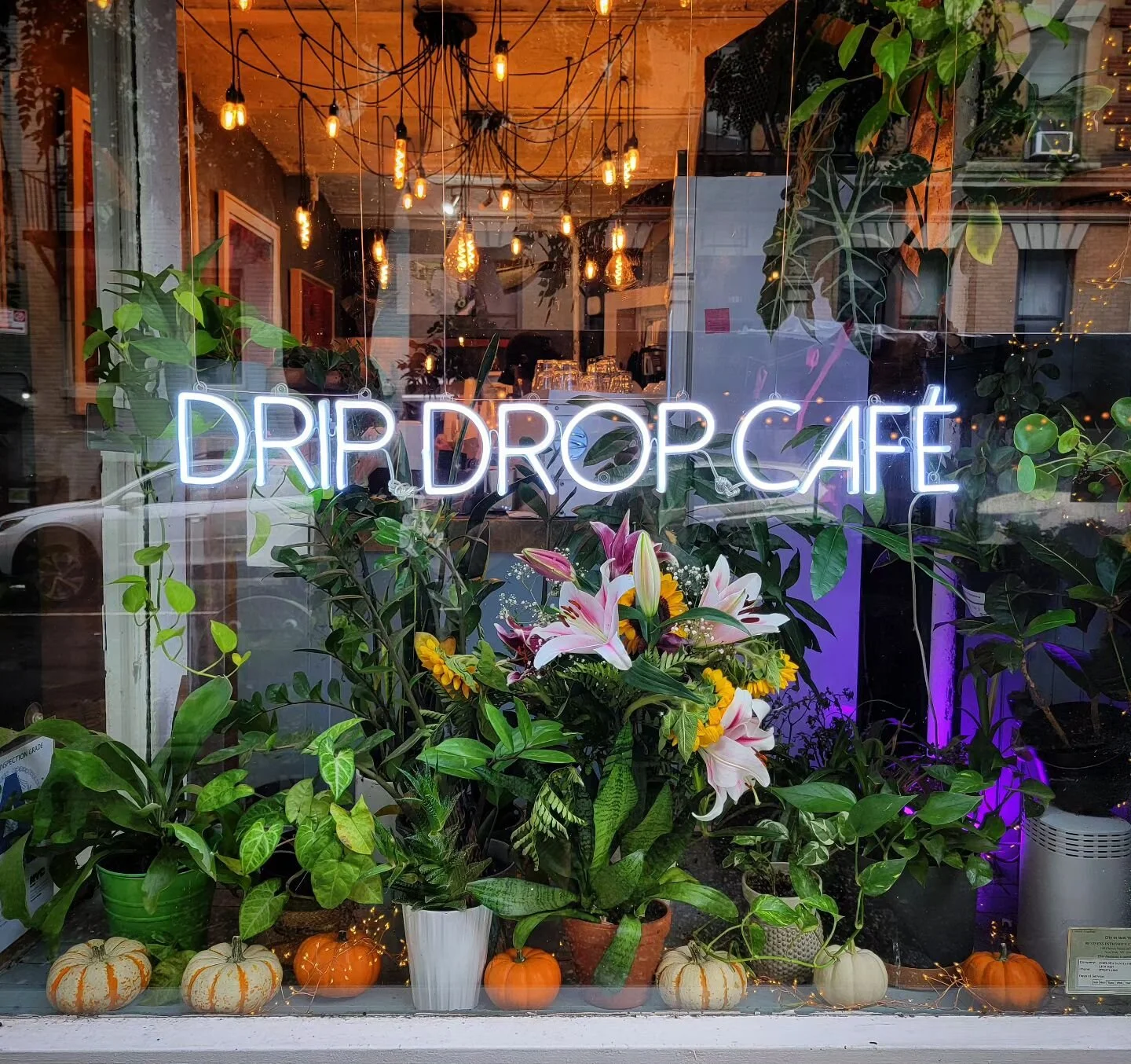 Drip Drop Café