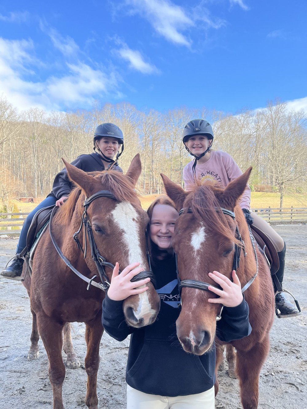 Horseback Riding Lessons in Asheville, NC — Crouse Equestrian