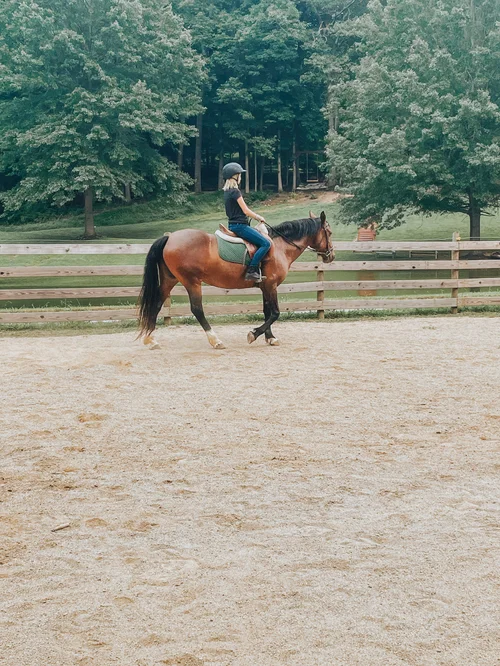 Horseback Riding Lessons in Asheville, NC — Crouse Equestrian