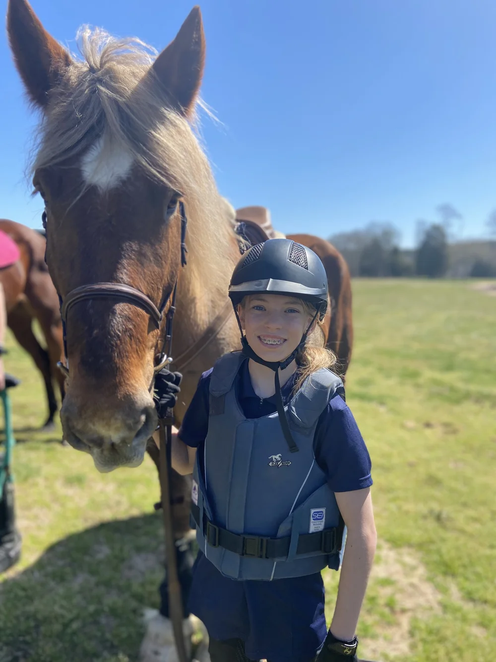 Horseback Riding Lessons in Asheville, NC — Crouse Equestrian