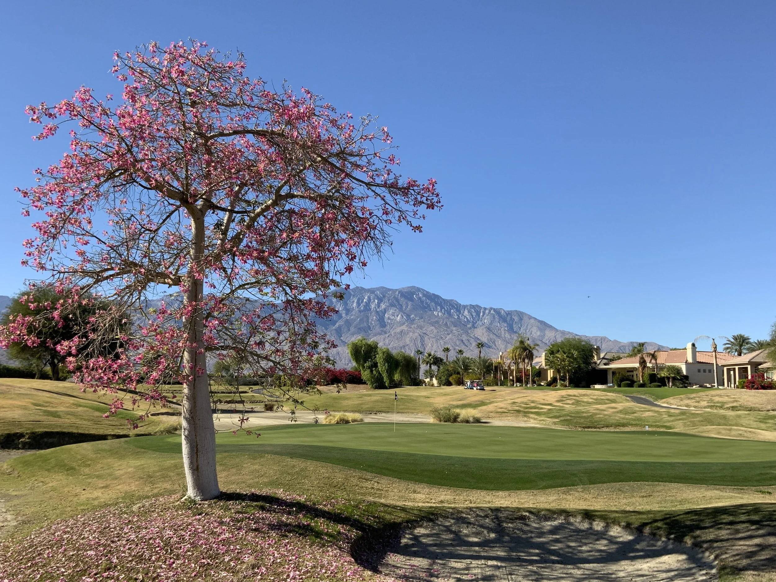 Vegetation Management on Golf Courses — Ecological Improvements