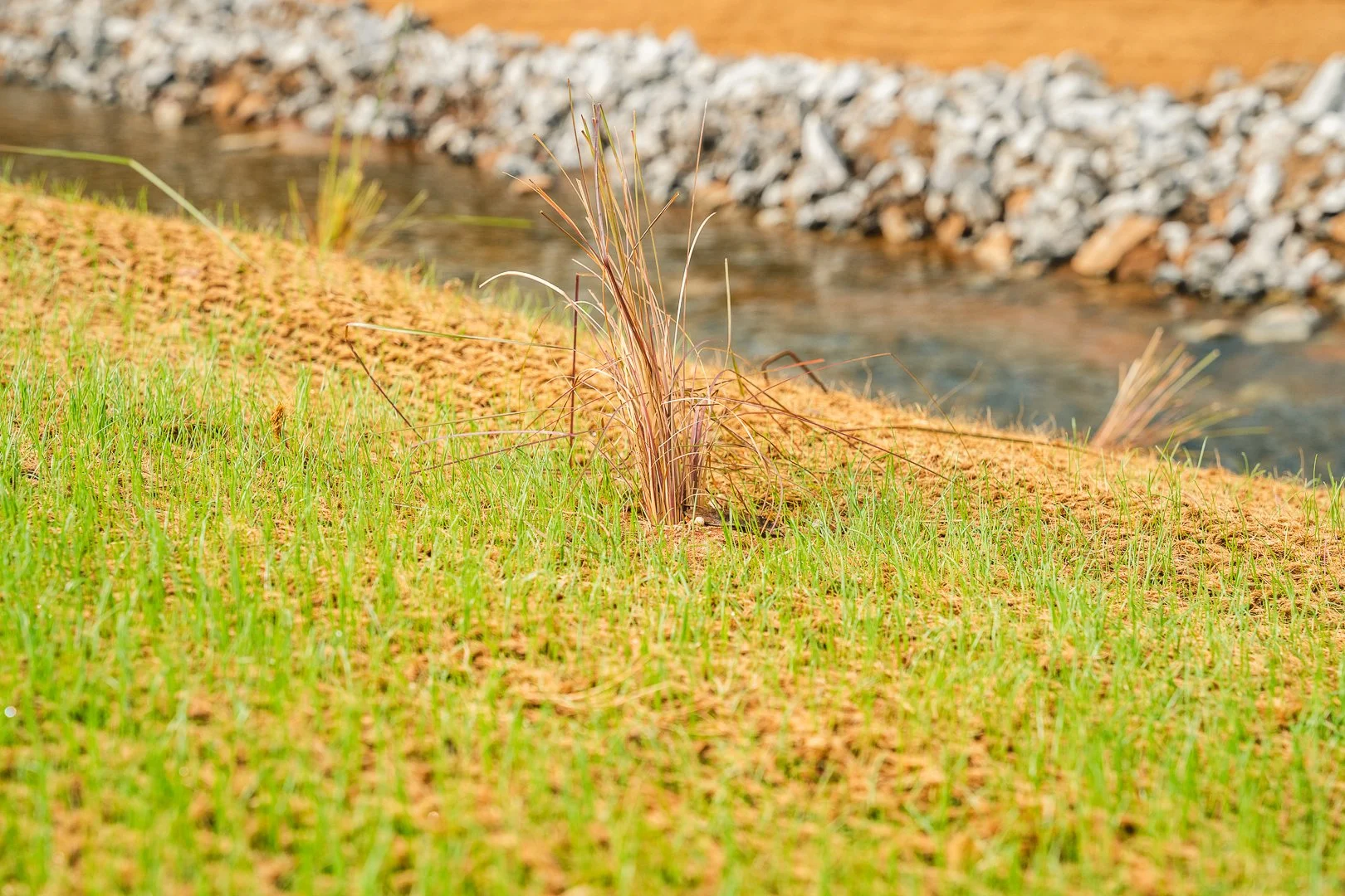 What Is a Stormwater BMP? | Stormwater BMP Guide for HOAs & Golf ...