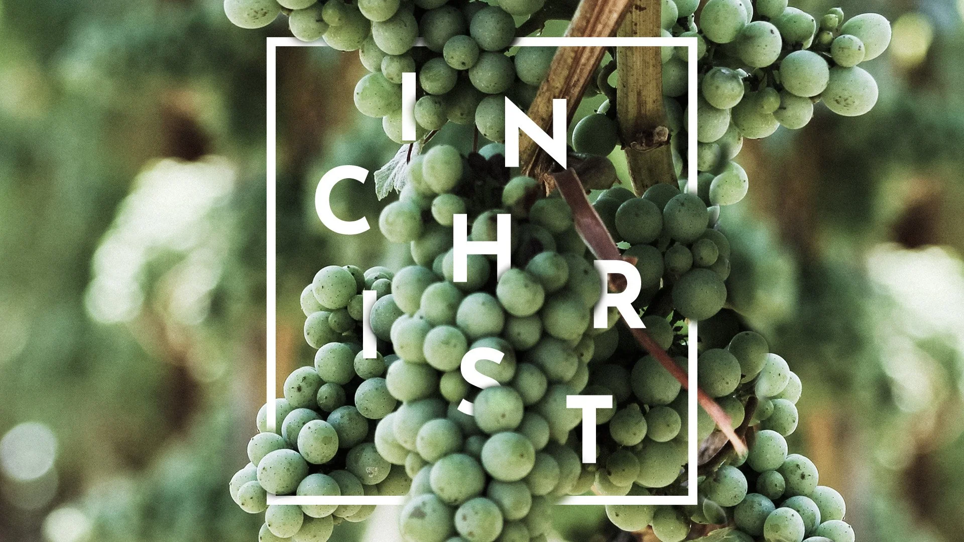 Rooted In Christ — PassageWay Church