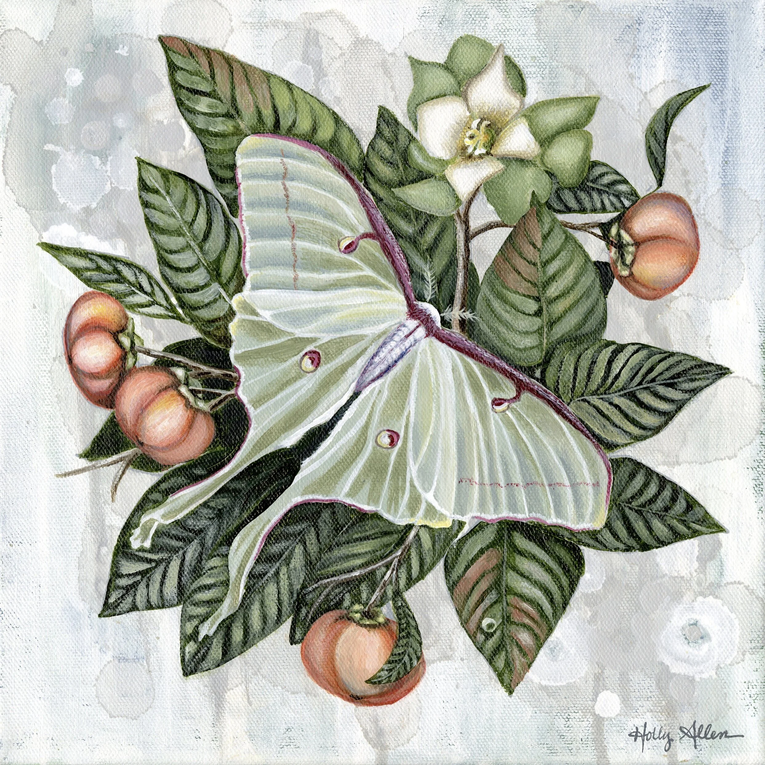 Fine Art Holly Allen Studio