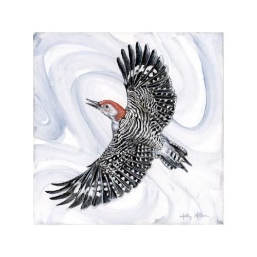 Flying Woodpecker Drawing