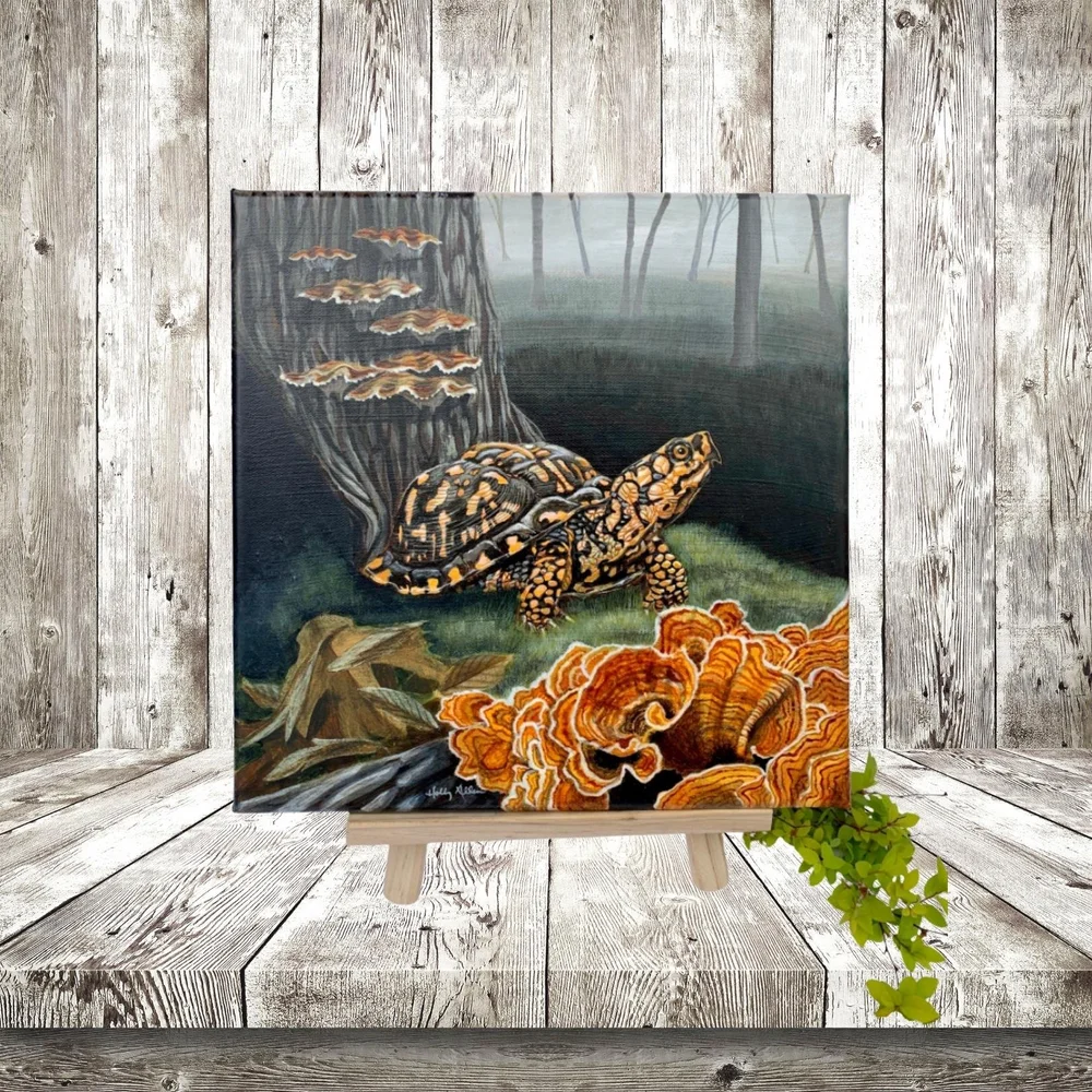 Land Turtle Art