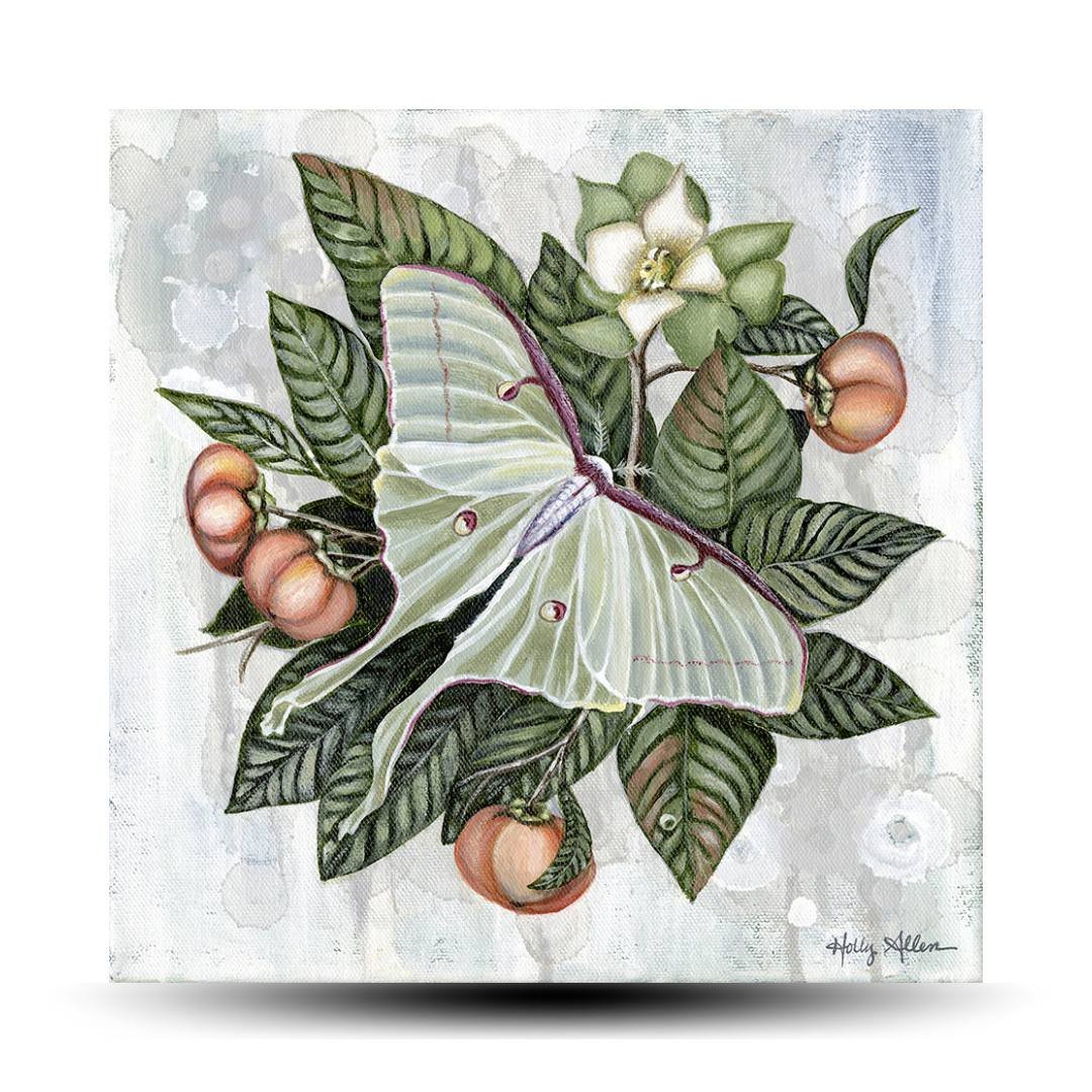 June on the Mountain Metal Hummingbird Print Holly Allen — Holly Allen ...