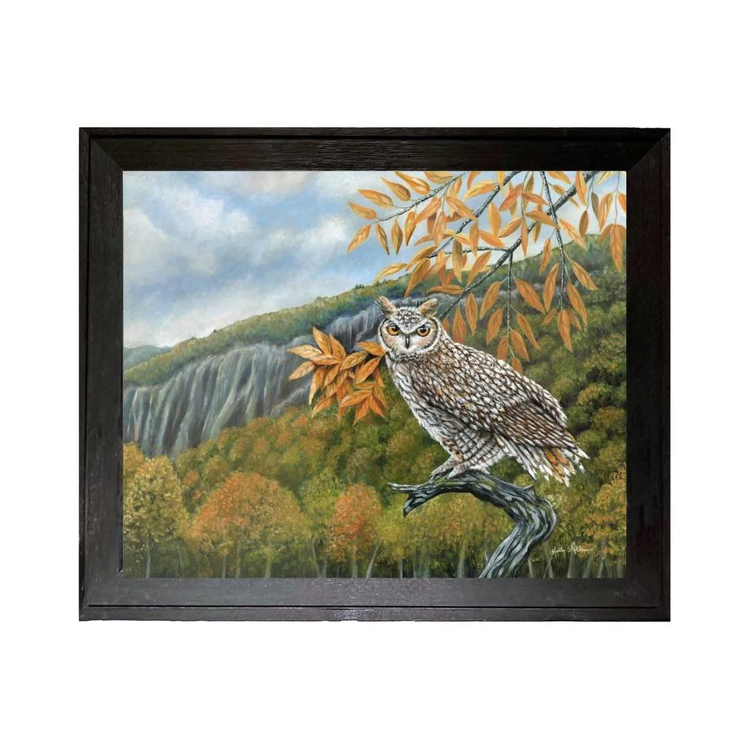 Luna and Persimmon Fine Art Wildlife Moth Botanical Print — Holly Allen ...