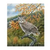 Holly Allen Studio Fine Art