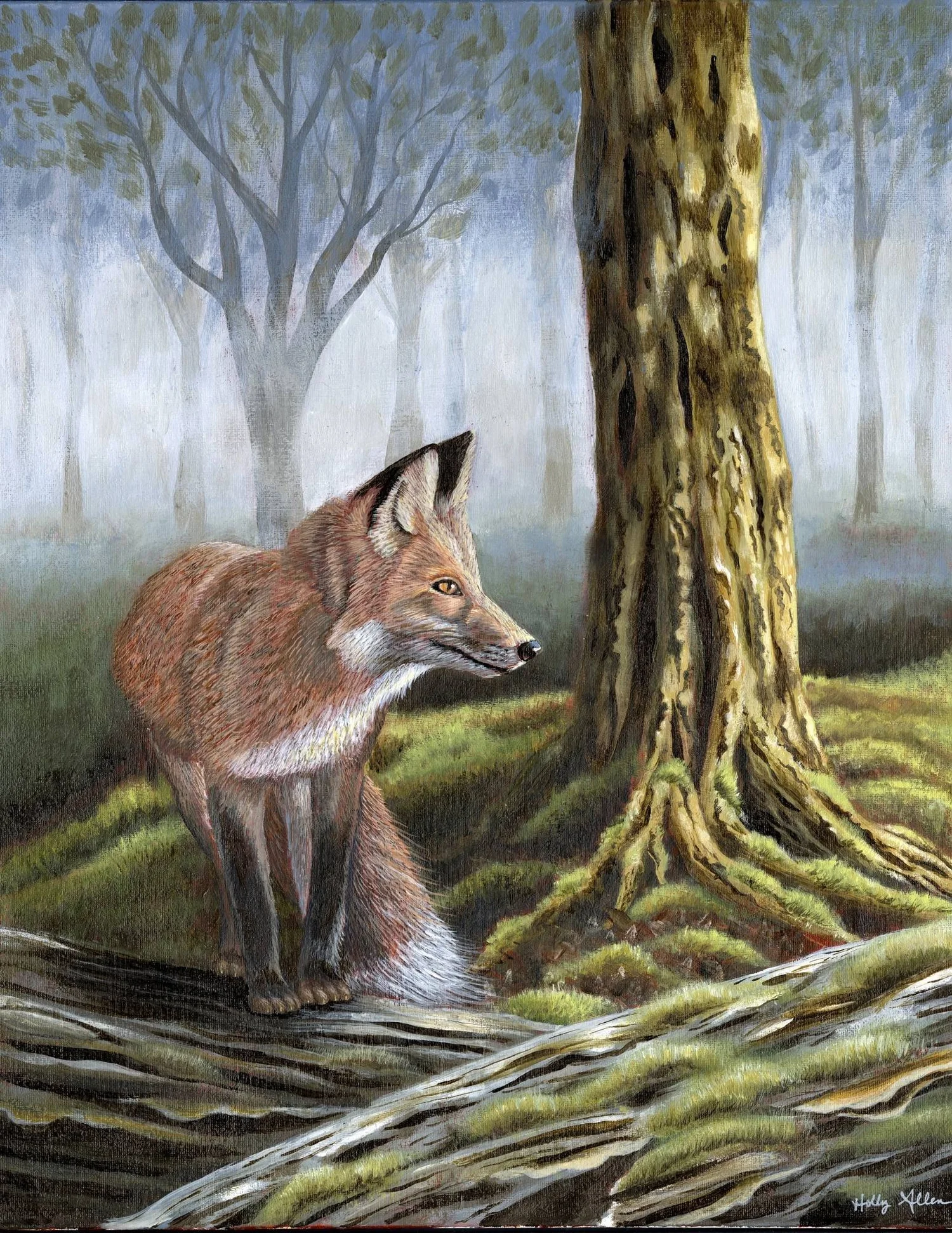 Holly Allen Studio Fine Art